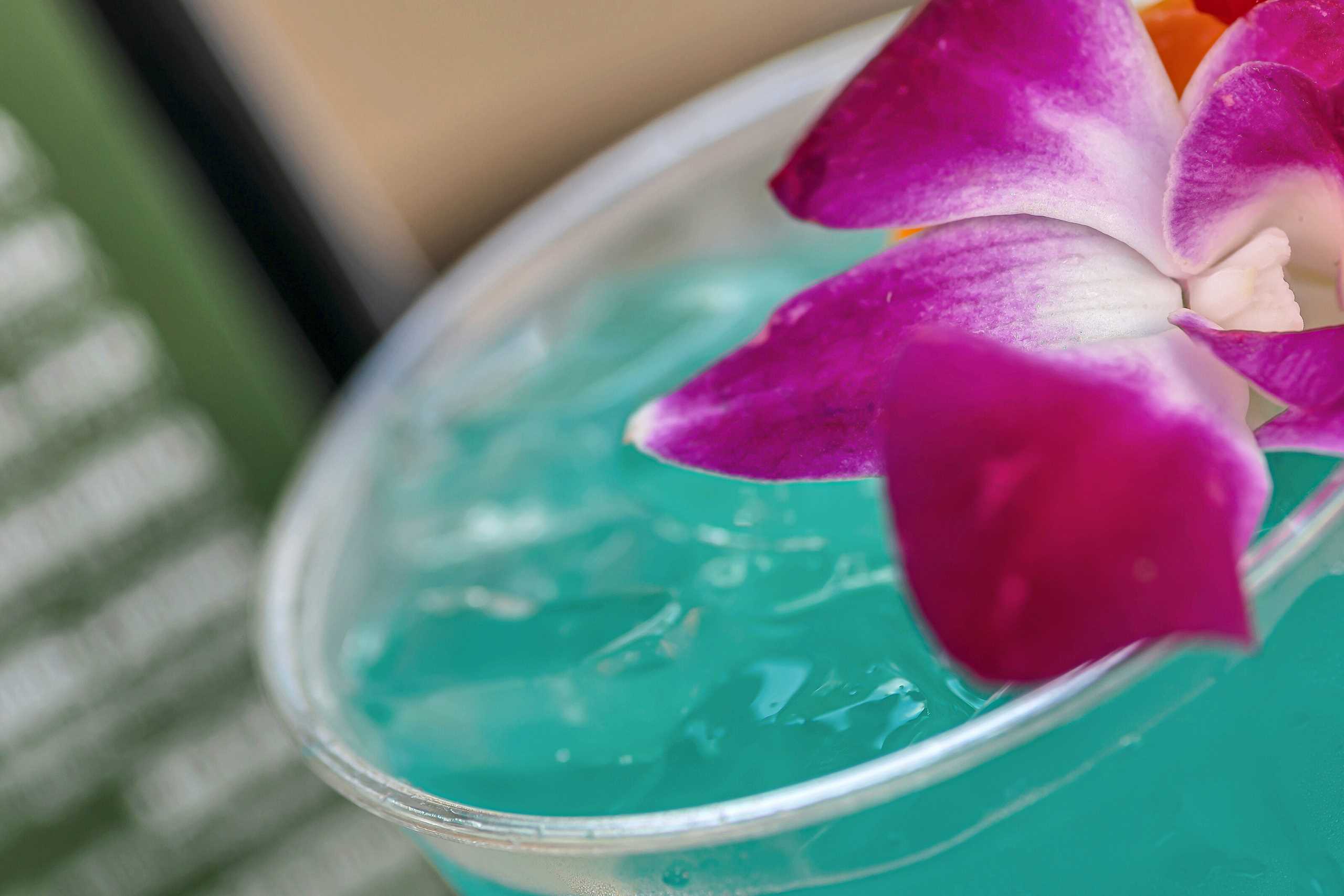 Naples Florida Bayfront Inn, Waterfront Hotel Information & Reservation